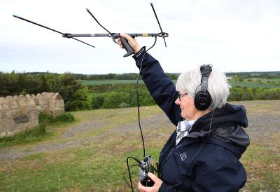 Island Nathusius pipistrelle Project – Isle of Wight Bat Group